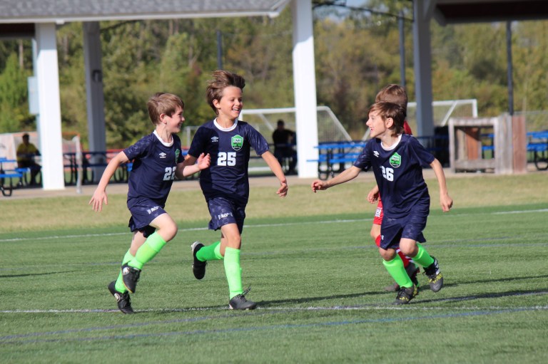 Tower Grove Soccer Club